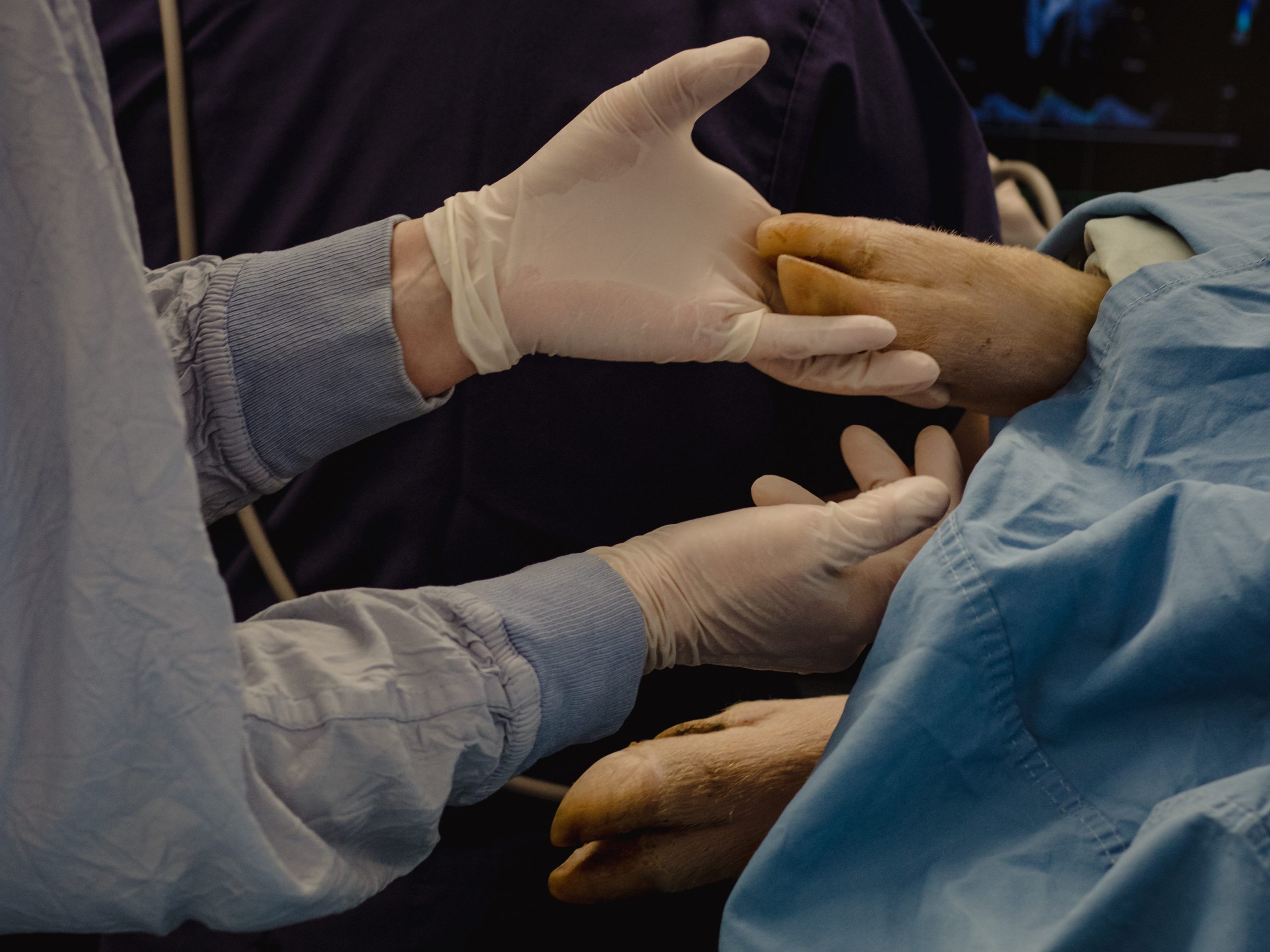 An artificial womb could build a bridge to health for premature babies ...